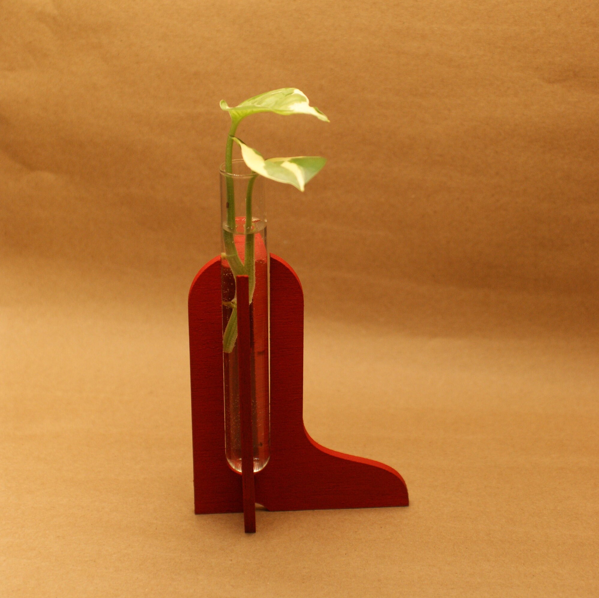 Test Tube Vase - Etsy