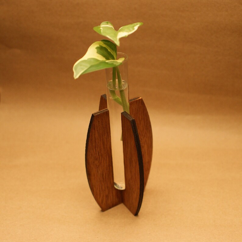 Test Tube Vase - Etsy