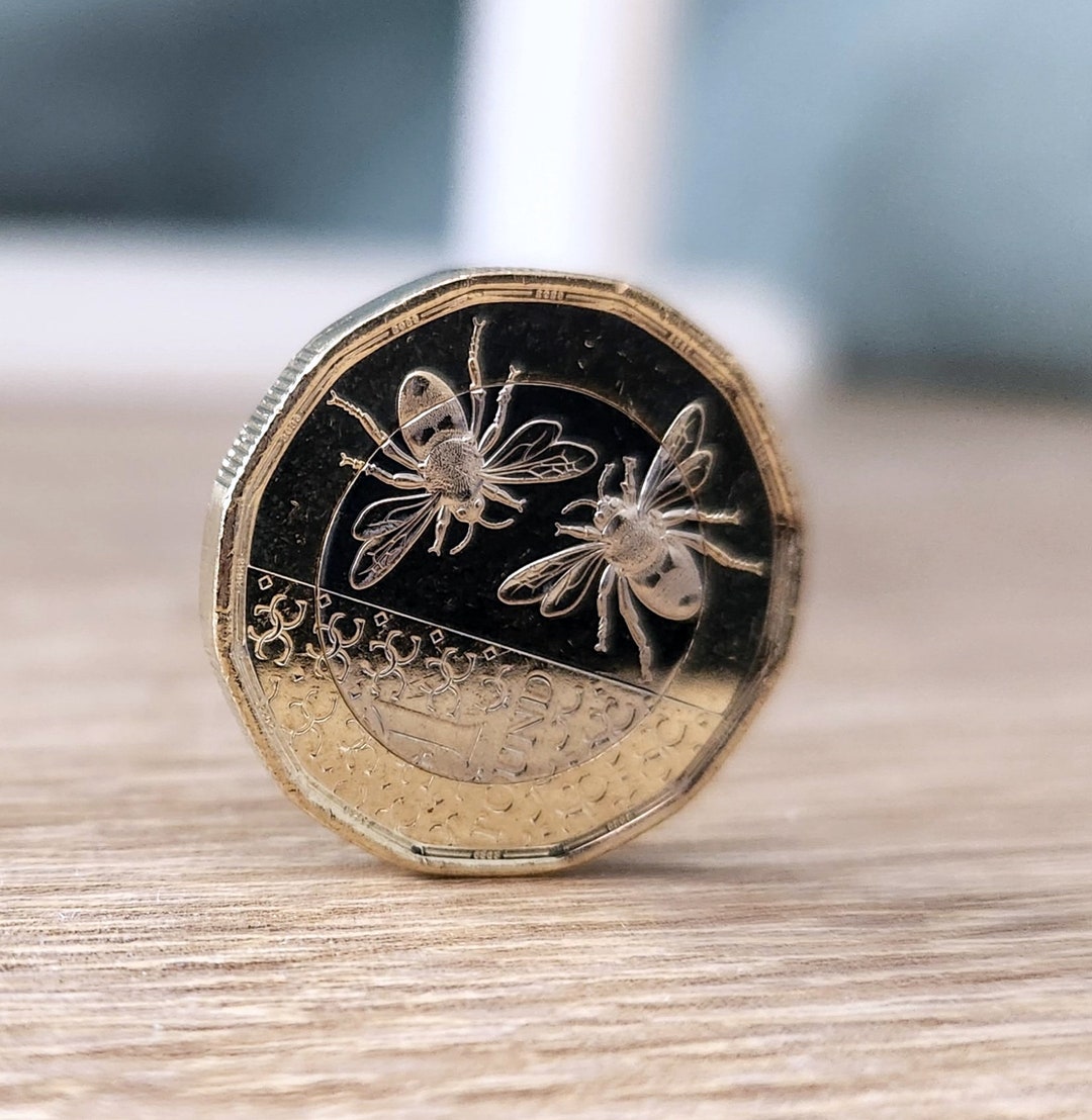2023 One Pound Coin Bees - Charles III Uncirculated UK Coin - Etsy