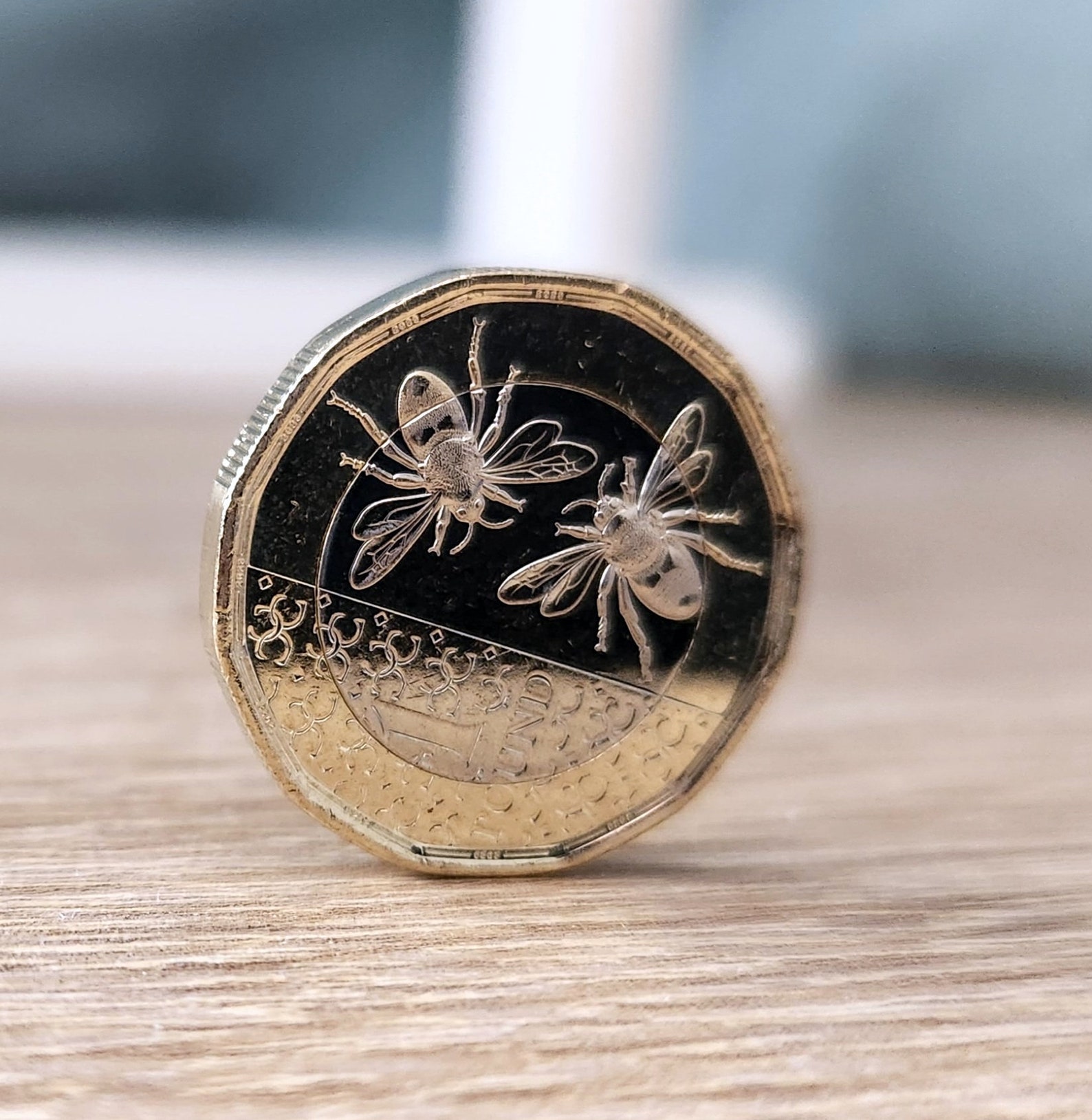 2023 One Pound Coin Bees - Charles III Uncirculated UK Coin Free ...