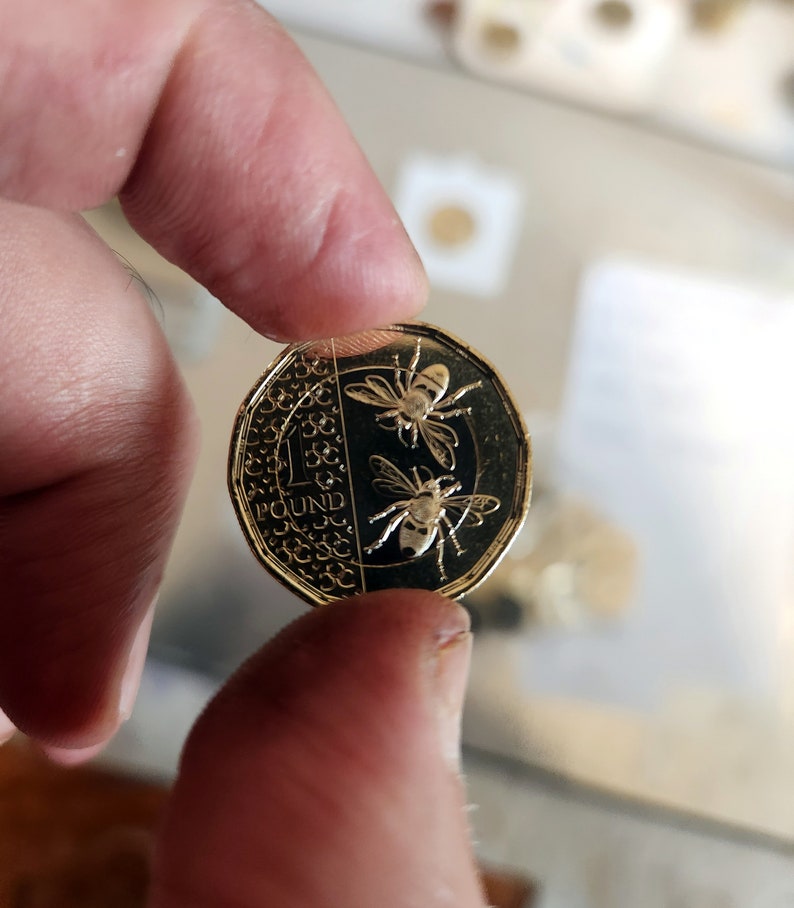 2023 One Pound Coin Bees - Charles III Uncirculated UK Coin Free ...