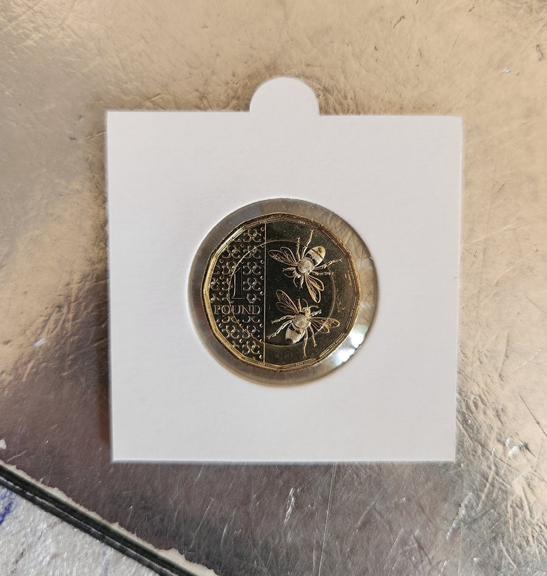 2023 One Pound Coin Bees - Charles III Uncirculated UK Coin Free ...
