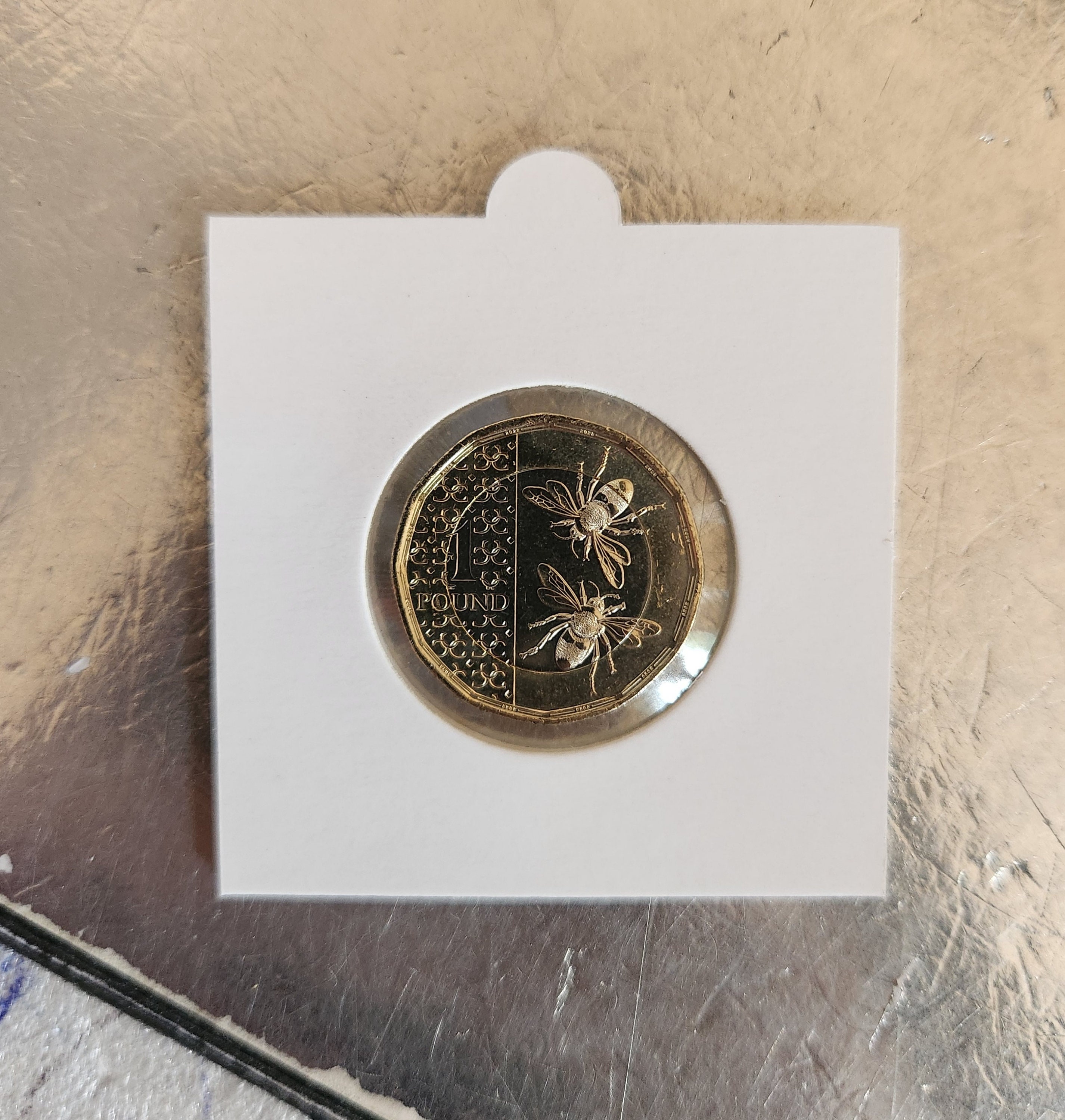2023 One Pound Coin Bees - Charles III Uncirculated UK Coin Free ...