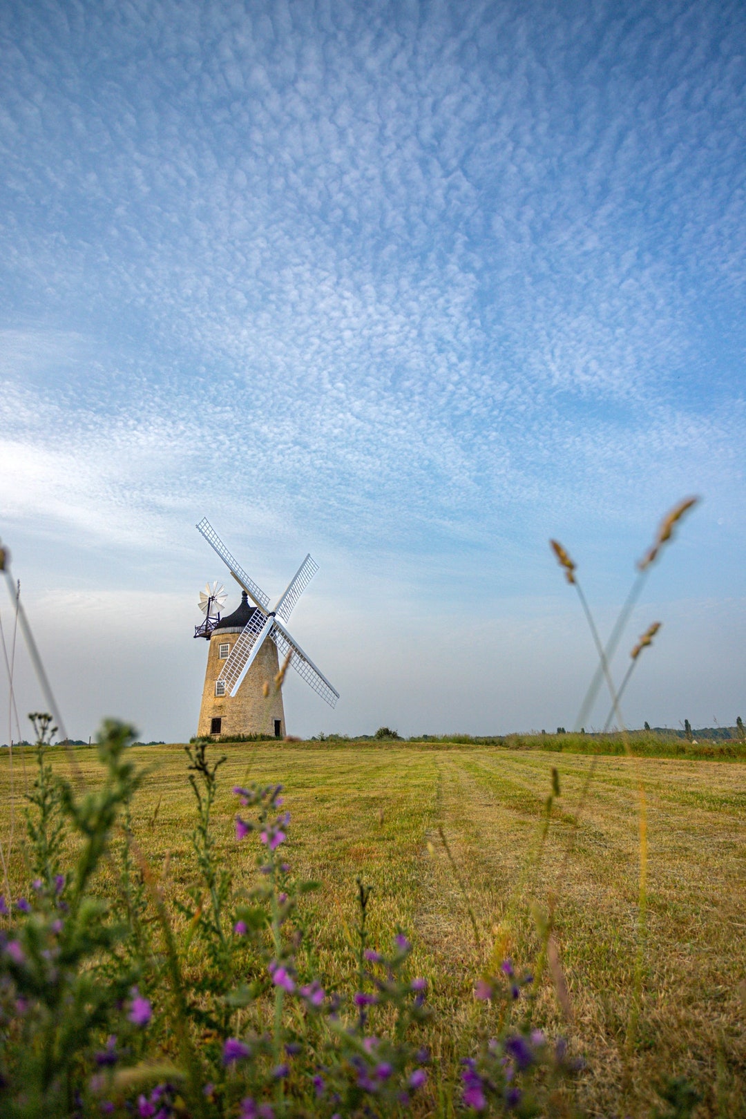 Great Haseley Windmill - Etsy