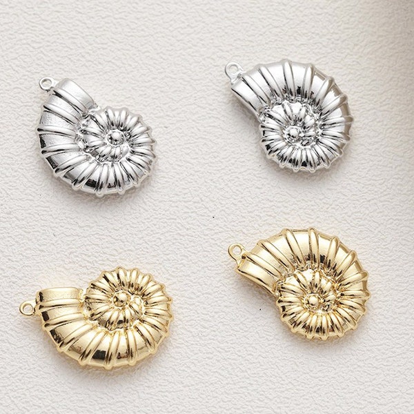 Nautilus Shell - Etsy