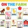 Safari Wild Animals Bulletin Board Kit: Classroom Door Letters - Etsy