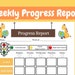 Progress Report | Preschool Progress Report | Daycare Behavior Chart ...