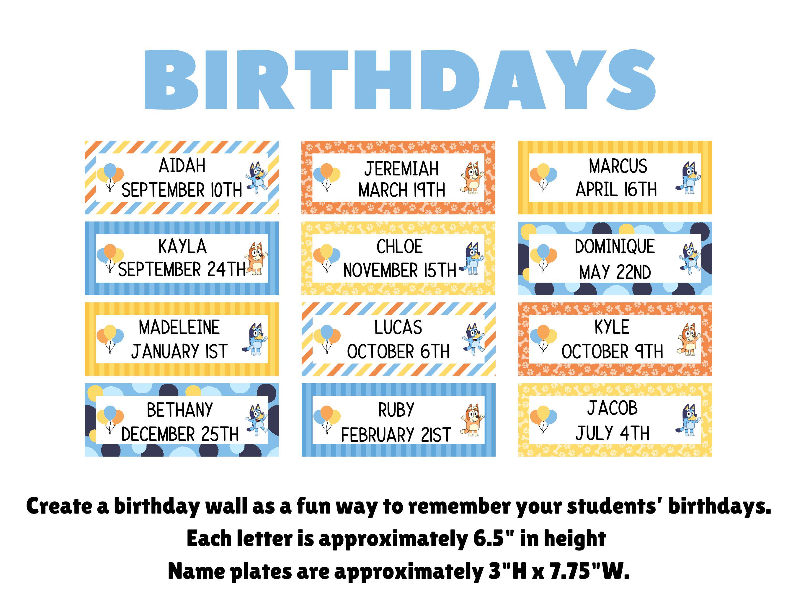 Bluey Class Decor | Wall Decor | Classroom Decorations | Classroom ...