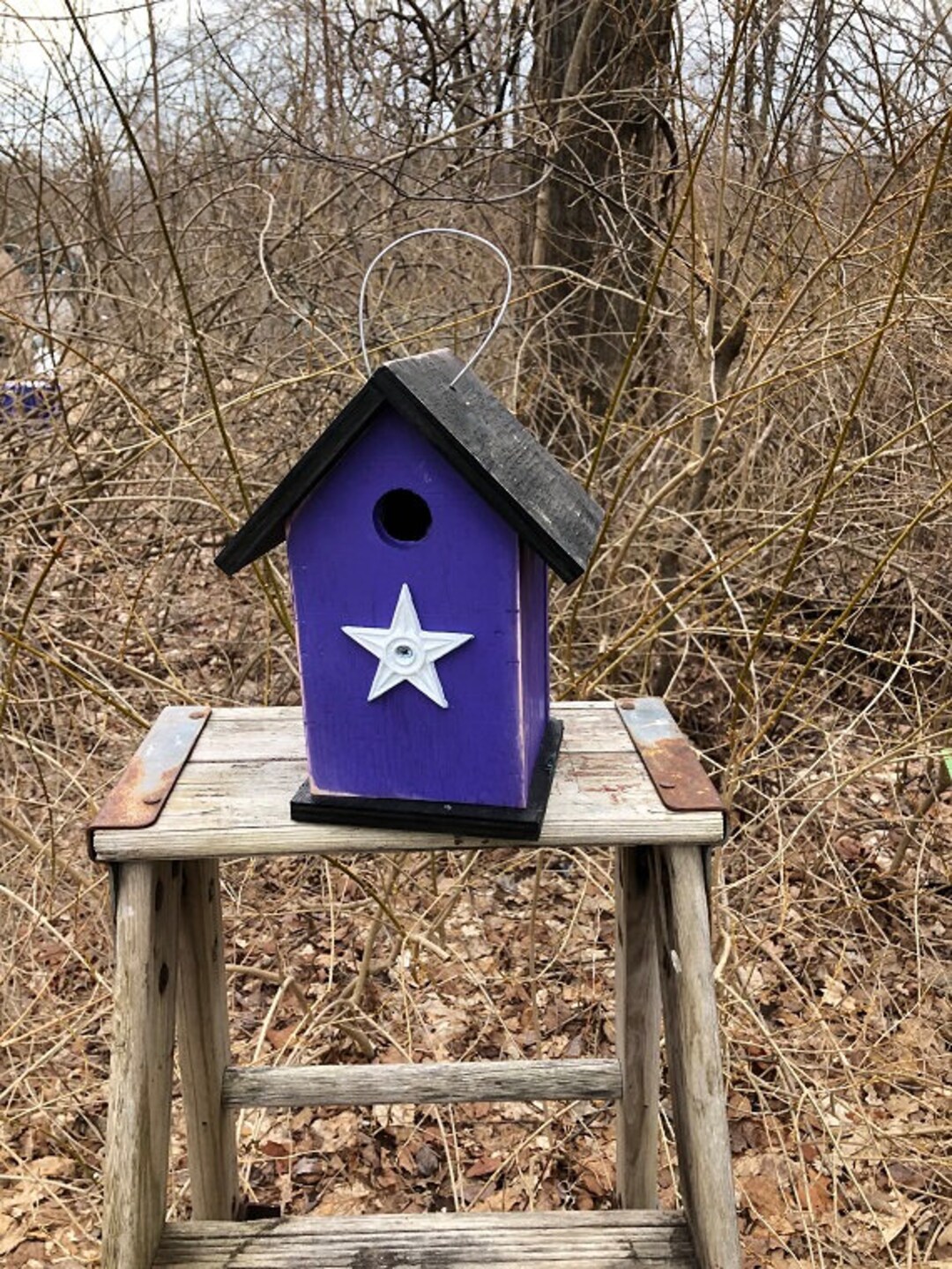 Rustic Outdoor Birdhouses Songbirds Aged Appearance Clean Out Primitive ...