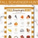 Fall Nature Scavenger Hunt for Kids, Printable Instant Download PDF ...