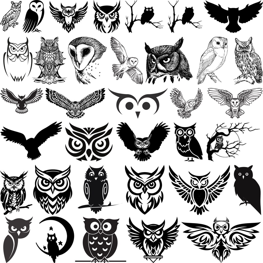 Owl Svg Bundle, Owl Clipart, Owl Svg Files for Silhouette, Owl Files ...