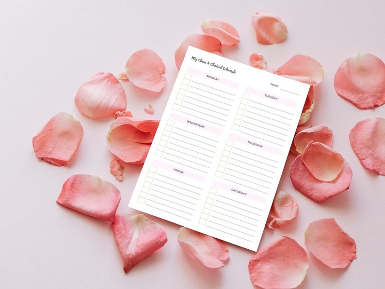 Editable Nursing School Planner Nursing School Notes - Etsy Canada