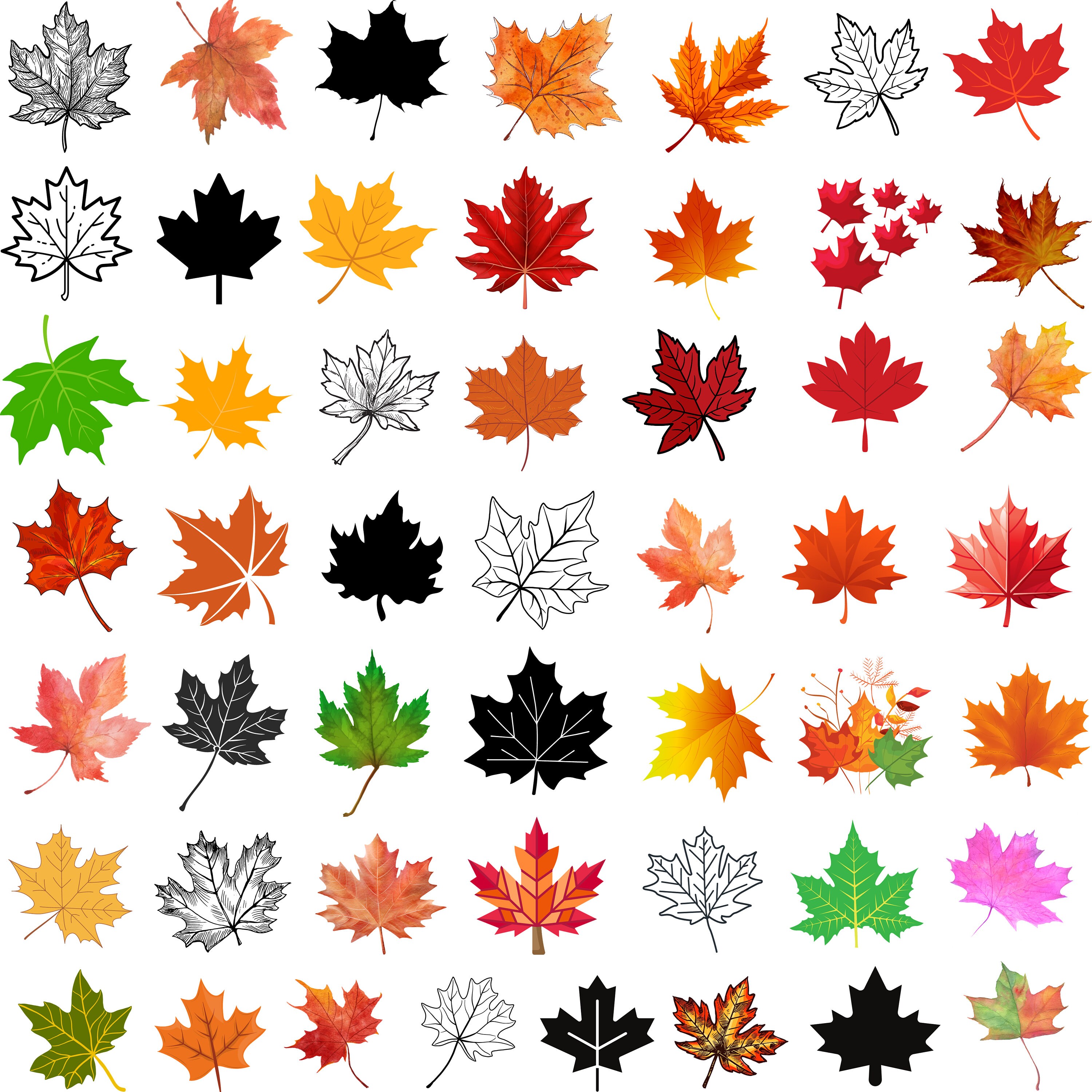 Maple Leaf SVG Bundle Canadian Leaf Svg Maple Leaf Svg - Etsy