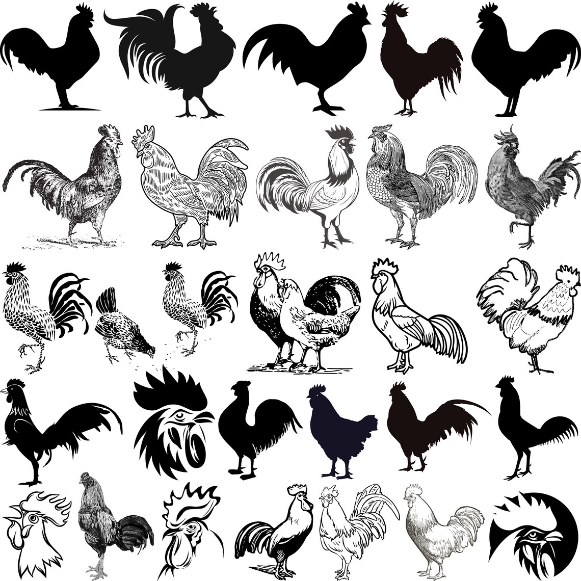Rooster Svg Bundle, Rooster SVG Design, Floral Rooster Svg, Fighter ...