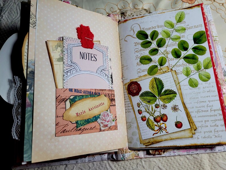 Marie Antoinette Diary - Etsy