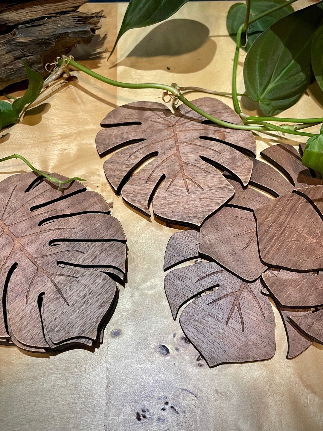 Monstera Leaf Coasters, Hardwood Walnut Tropical Coaters, Wooden Plant ...