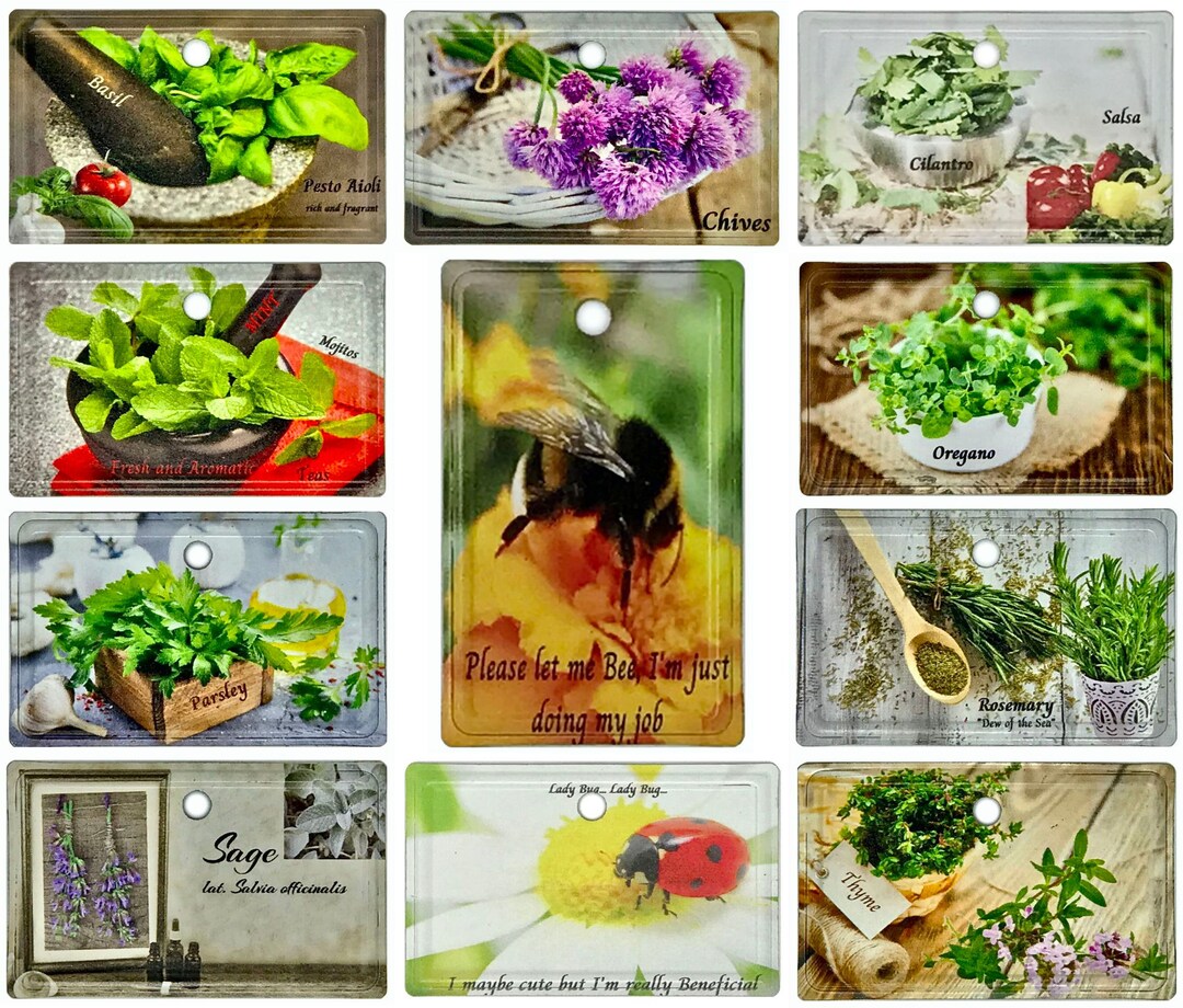 11 Herb Garden Labels - Herb Plant Markers - Windowsill Herb Garden ...