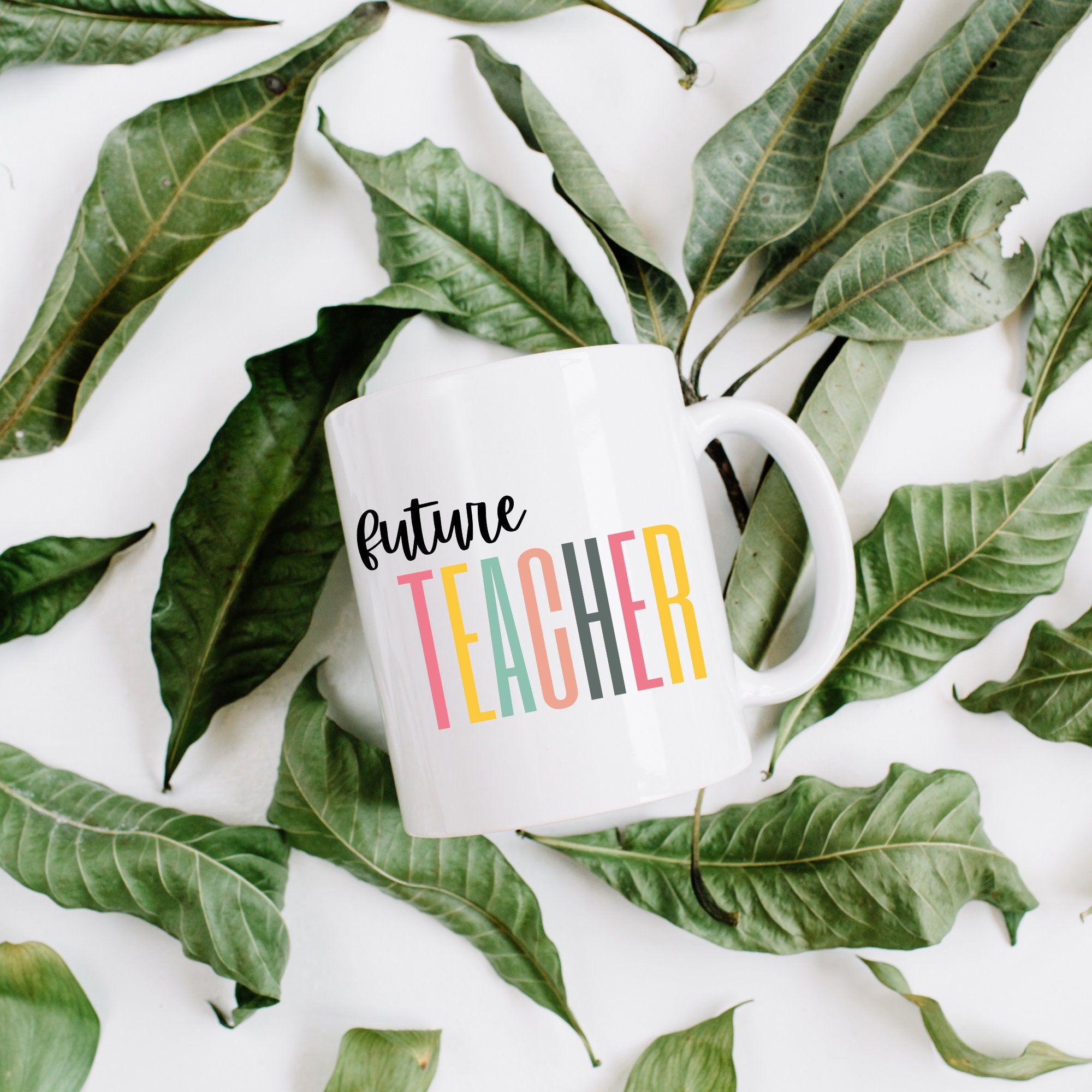 Future Teacher New Teacher Gift Future Teacher Svg Student Teacher ...