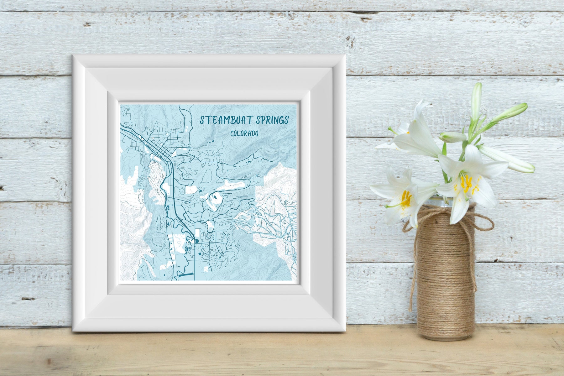 Customizable Topographic Square City Map Decorative Poster Print ...