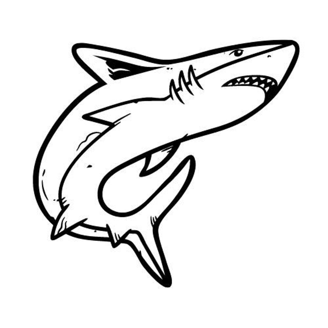 Shark | Digital Clipart | Digital Download | PNG Files - Etsy