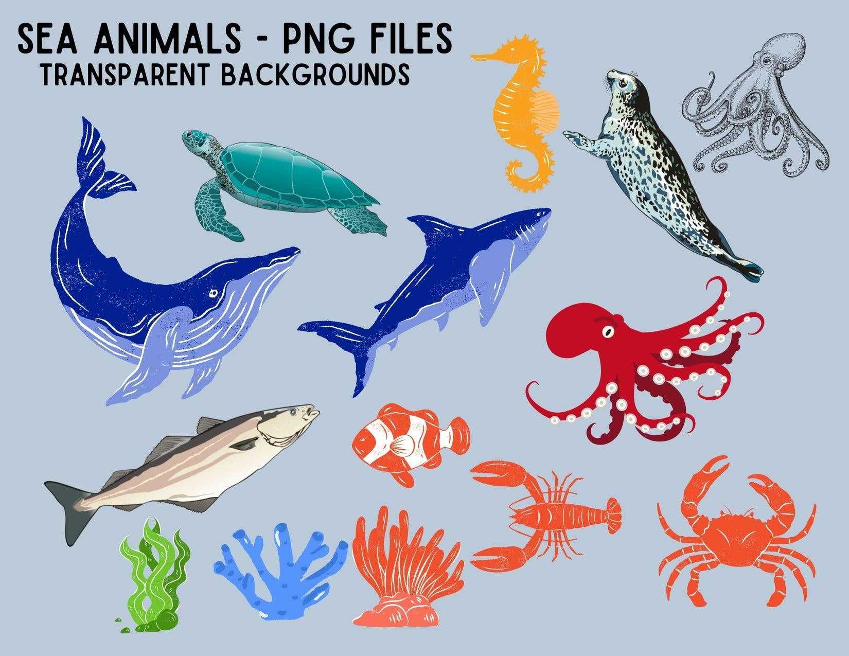 Sea Animals Digital Clipart | Digital Download | Clipart | PNG Files - Etsy