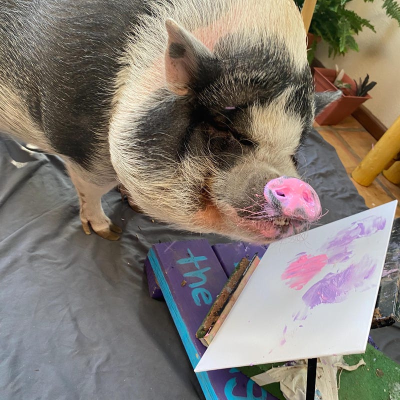 Pig Painting - Etsy