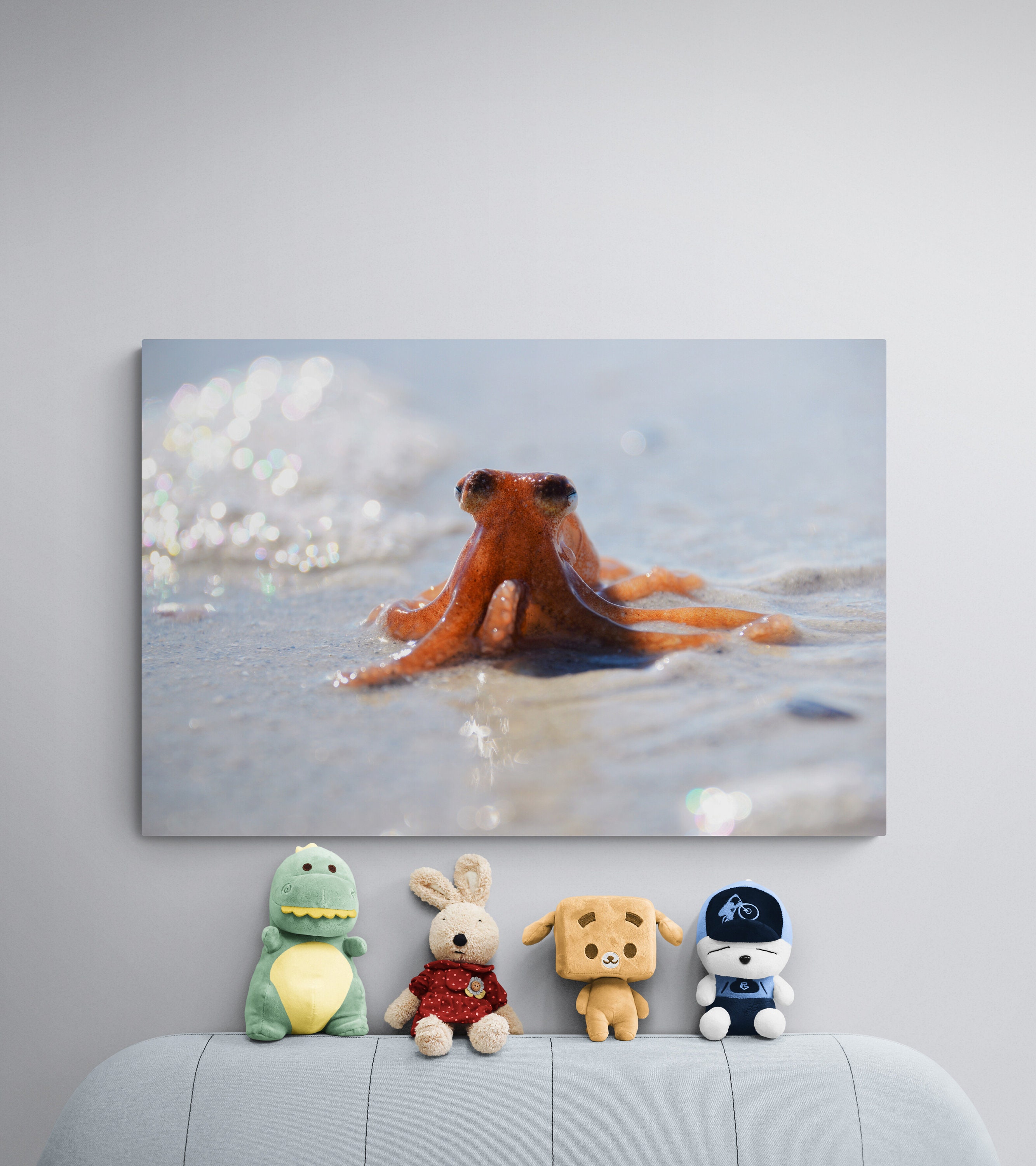 Baby Octopus 3 on St. Pete Beach, Florida- Cute Animals Original ...