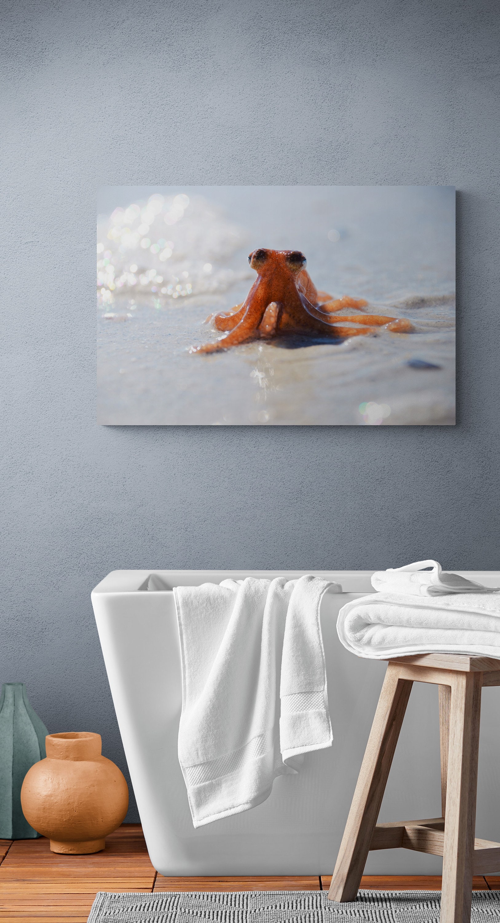 Baby Octopus 3 on St. Pete Beach, Florida- Cute Animals Original ...