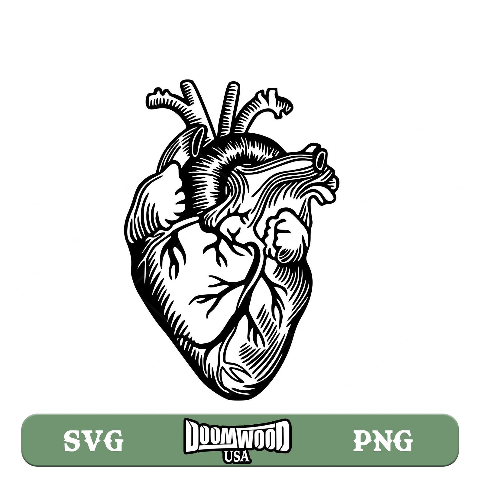 Tattoo Heart Svg Png Anatomical Heart Svg Png - Etsy