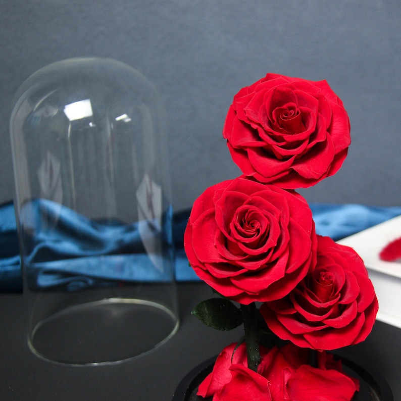 Three Preserved Real Roses in a Glass Dome | Valentine's Day | Birthday ...