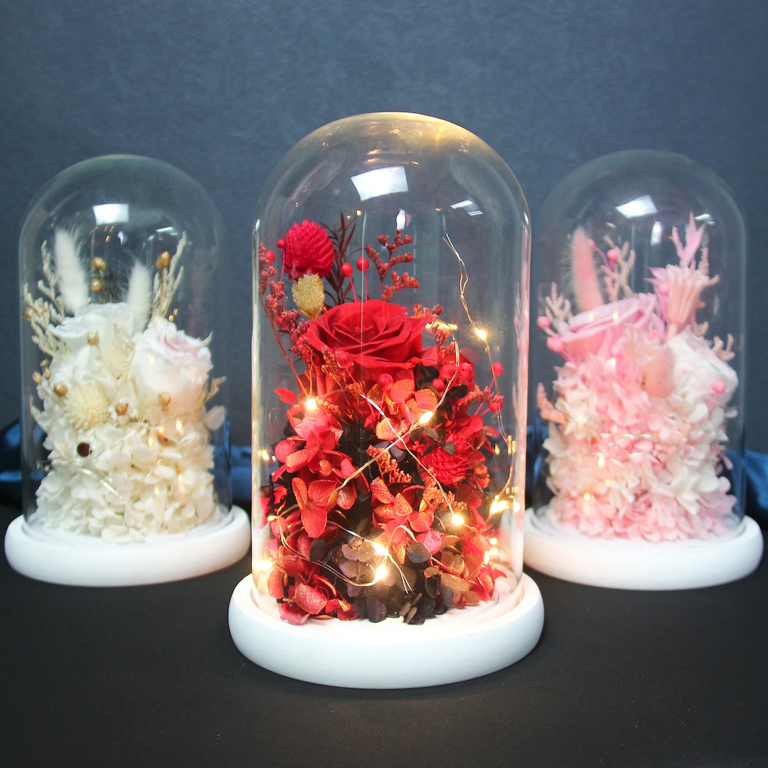 Preserved Roses in a Glass Dome LED Lights | Valentine's Day | Birthday ...
