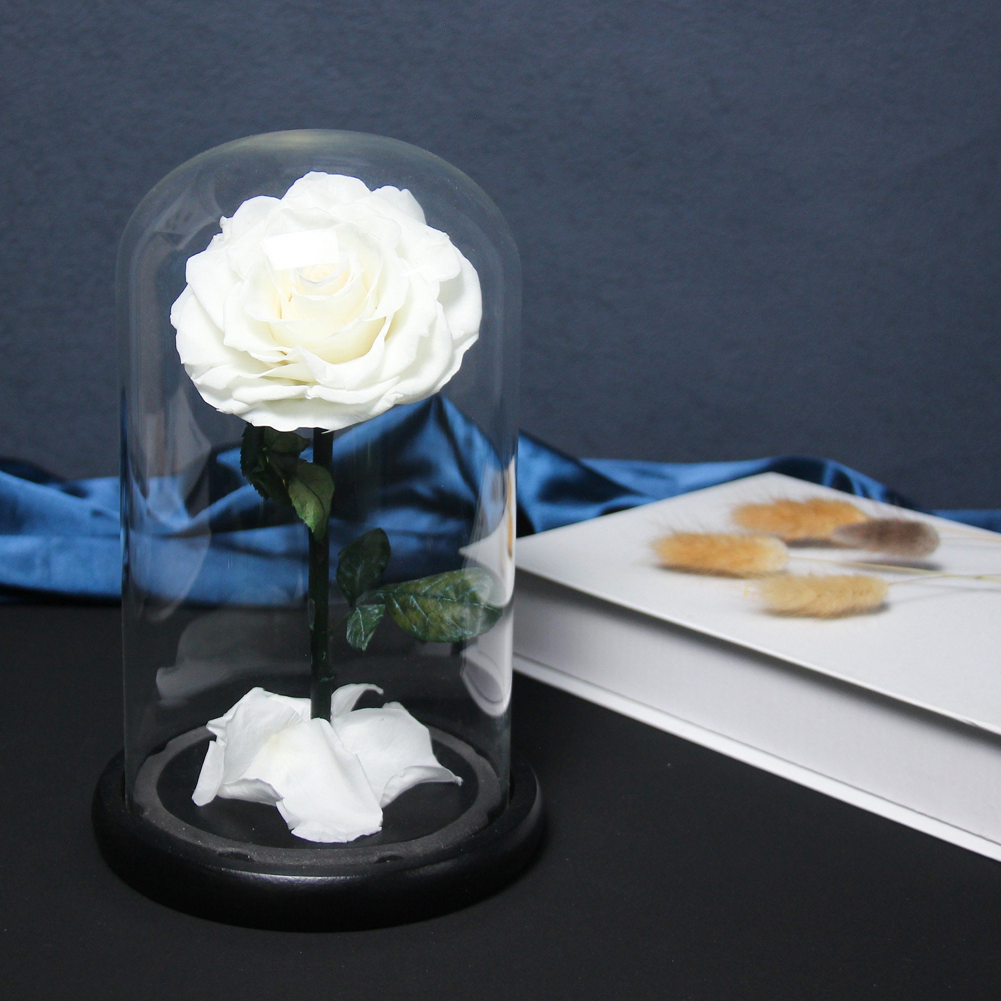 Preserved White Rose in a Glass Dome | Valentine's Day | Birthday Gift ...