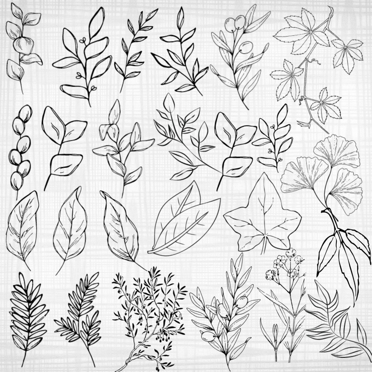 Mega Leave Svg Bundle Leaves Svg Bundle leave Png leave Clipart leave ...