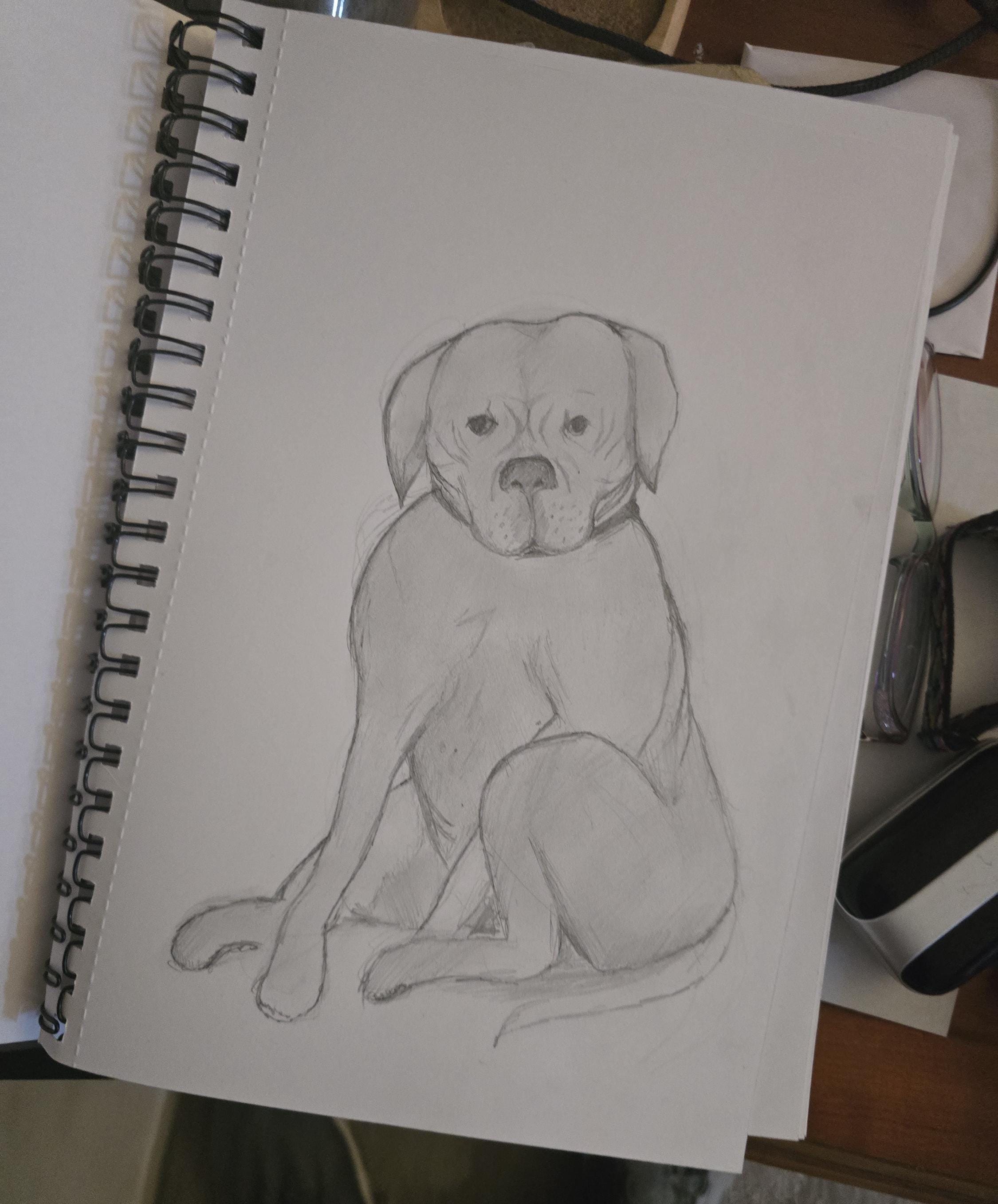 Cute Dog Sketch A4 Size - Etsy