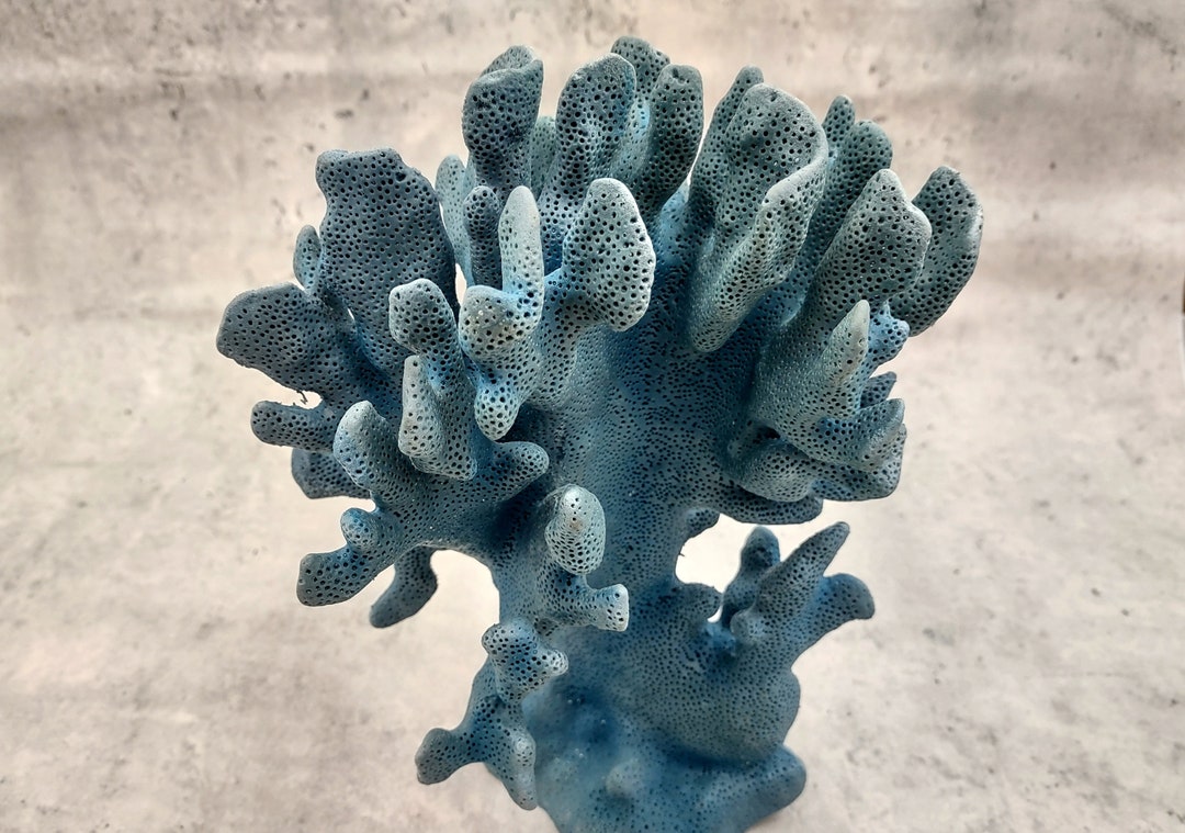 Blue Ridge FAUX Coral 1 FAKE Coral Approx. 8wx4dx6t Inches Perfect ...