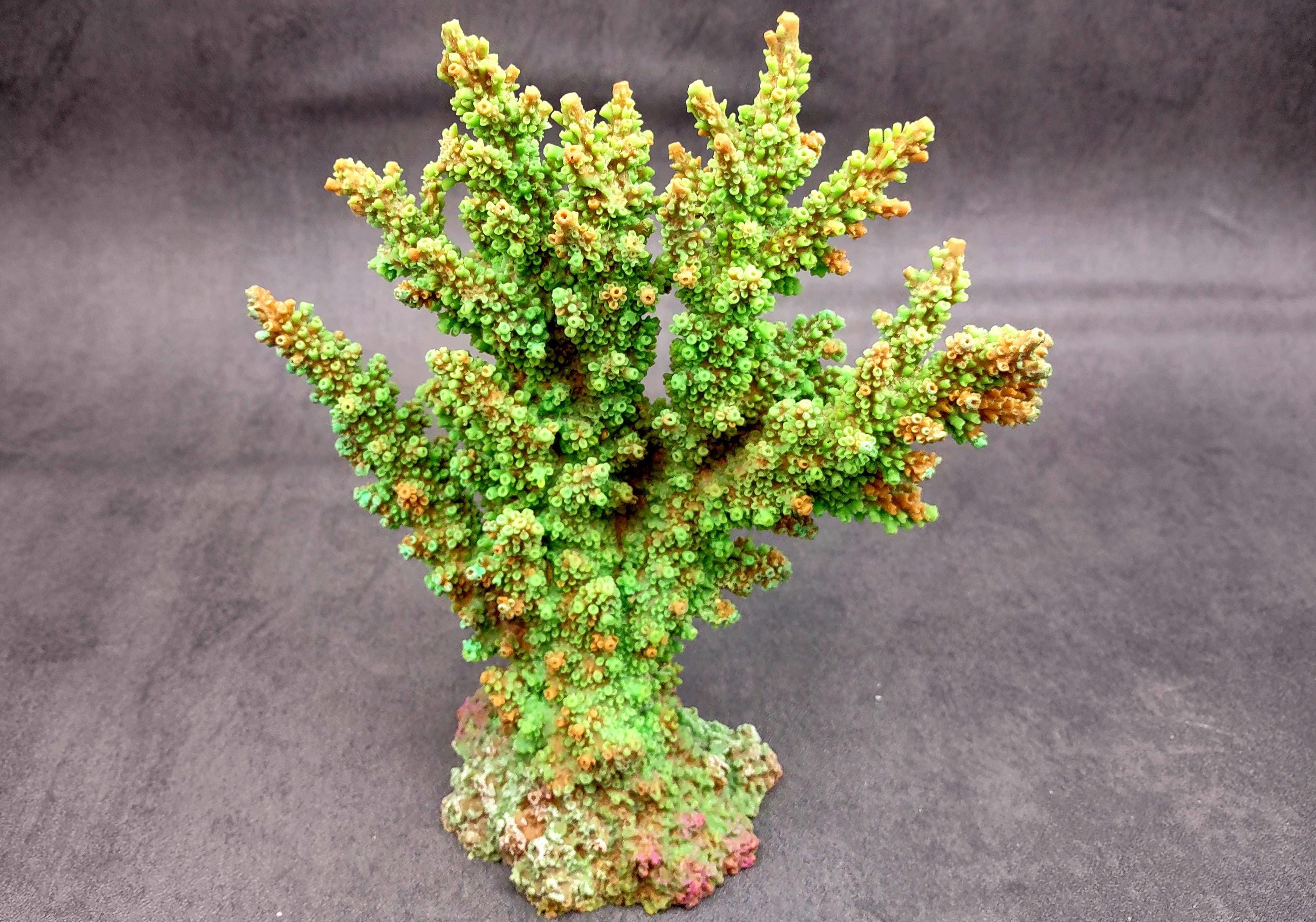 Green FAUX Branch Coral Acropora Florida (1 FAKE Coral Approx. 7 ...