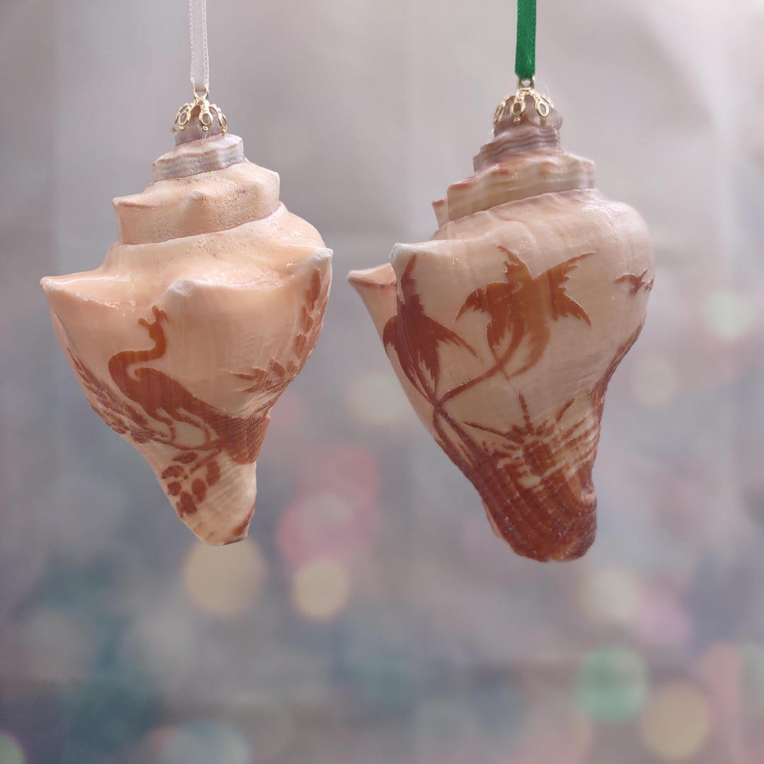 Carved Conch Seashell Christmas Ornament (2 Shells Approx. 2+ Inches ...