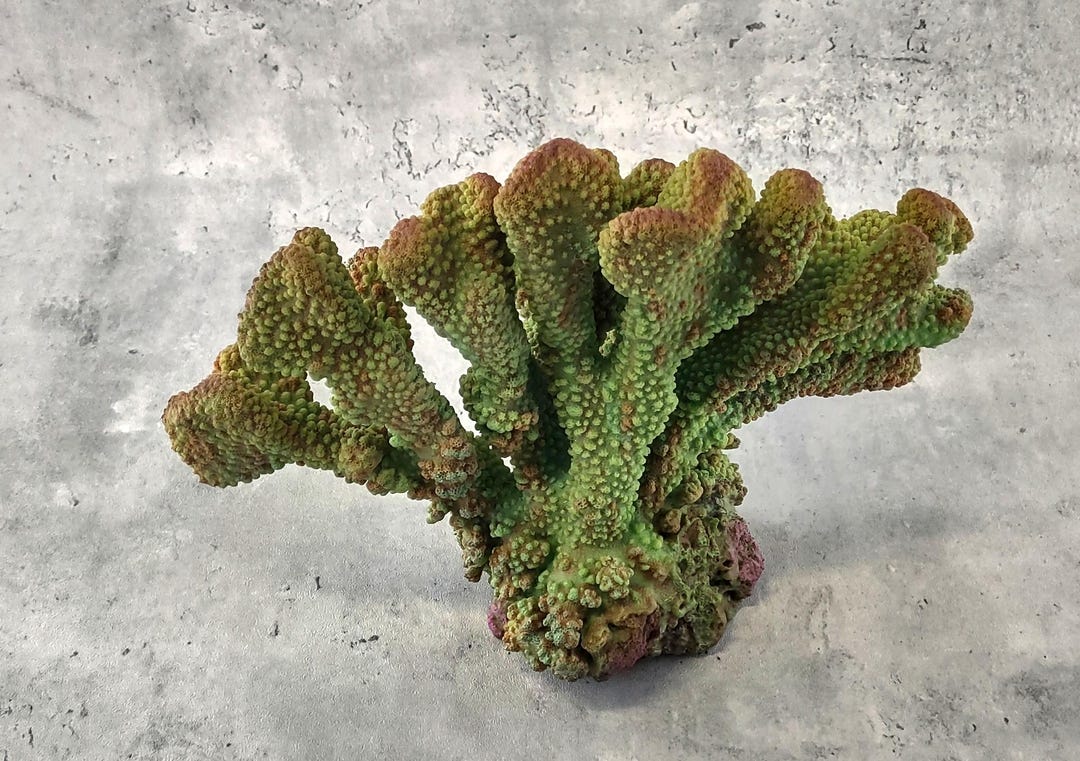 Green FAUX Cauliflower Coral Pocillopora Eydouxi 1 FAKE Coral Approx ...