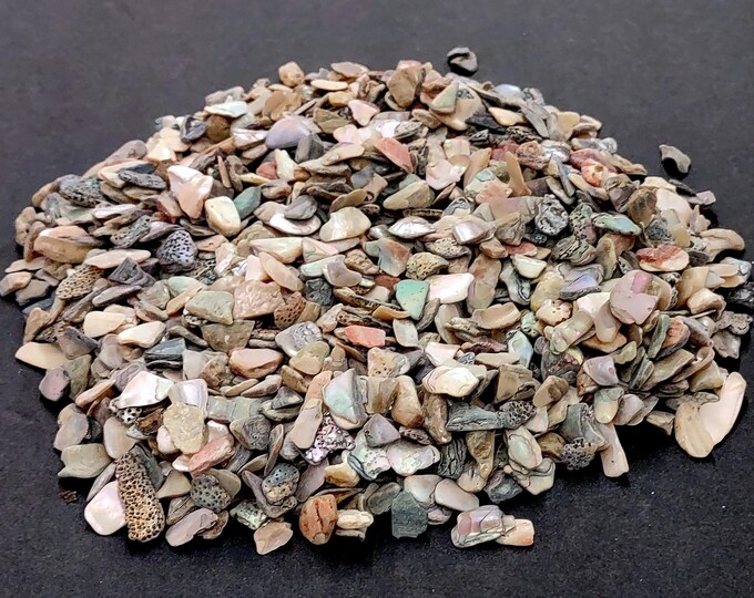 Mini Baby Abalone Green and Silver Seashells approx. Half Pound 85 ...