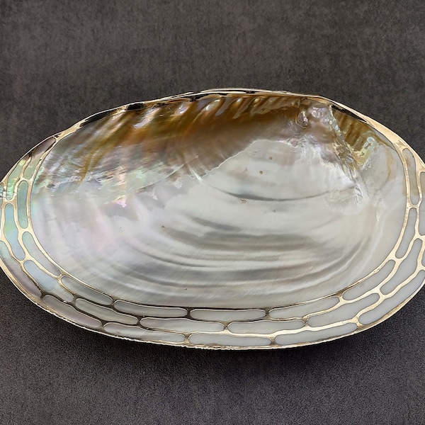 Clam Shell Dish - Etsy