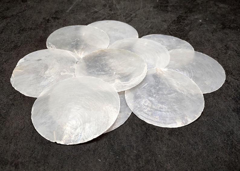Capiz Shells Round Cut White Pearlescent Placuna Placenta (10 Shells ...