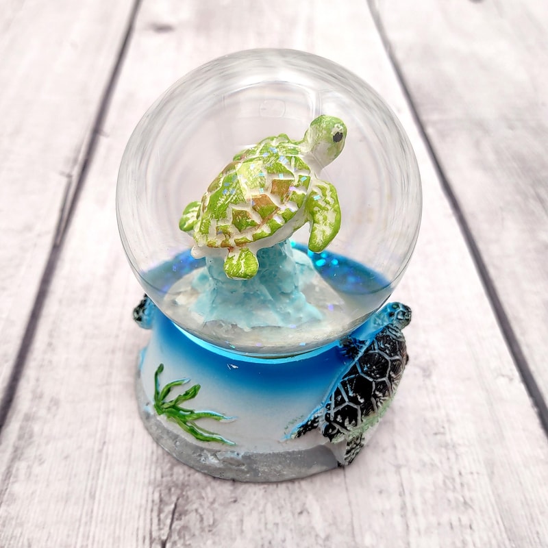 Globe of the Sea - Etsy