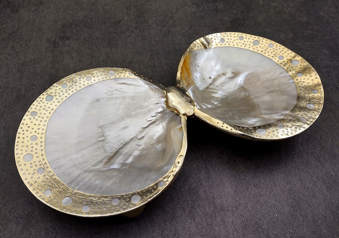 Silver Edged Oyster Seashell Dish Pearl Pinctada Maxima (1 Dish Approx ...