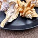 Rooster Conch Seashell Strombus Gallus (1 Shell Approx. 4+ Inches ...