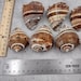 King Crown Conch Seashells Brown Striped Melongena Corona (2 Shells ...