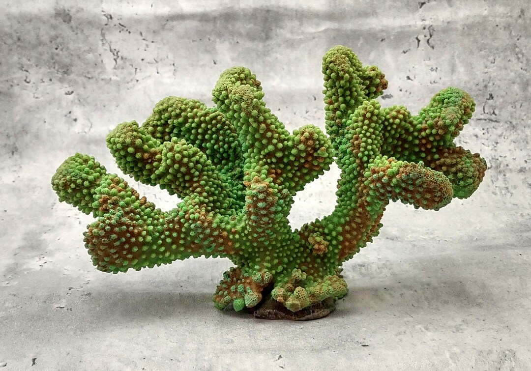 Green FAUX Cauliflower Coral Pocillopora Eydouxi 1 FAKE Coral Approx ...