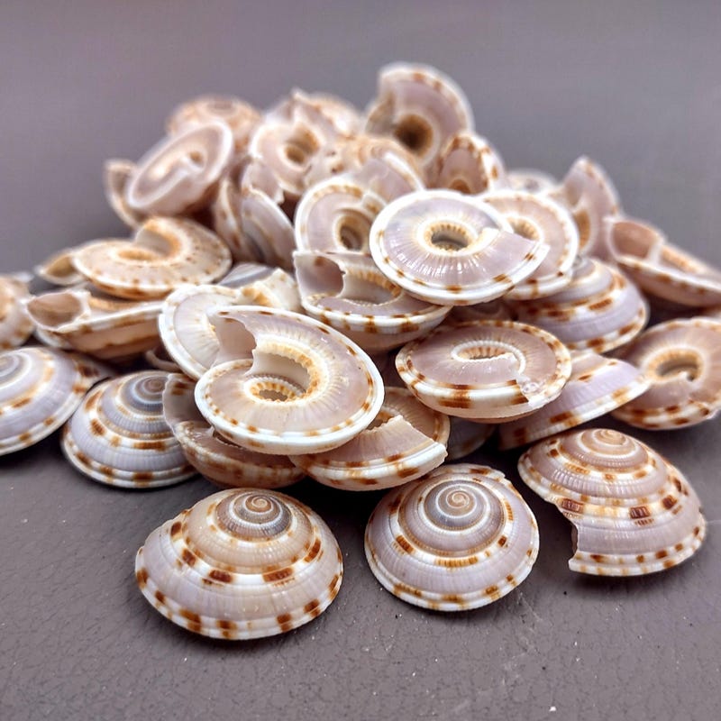 Nautical Sundial - Etsy