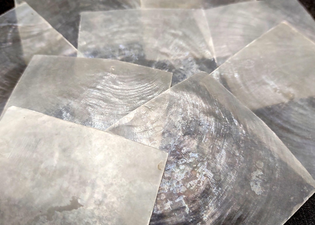 Capiz Square Cut Seashells White Clear Placuna Placenta (10 Shells ...