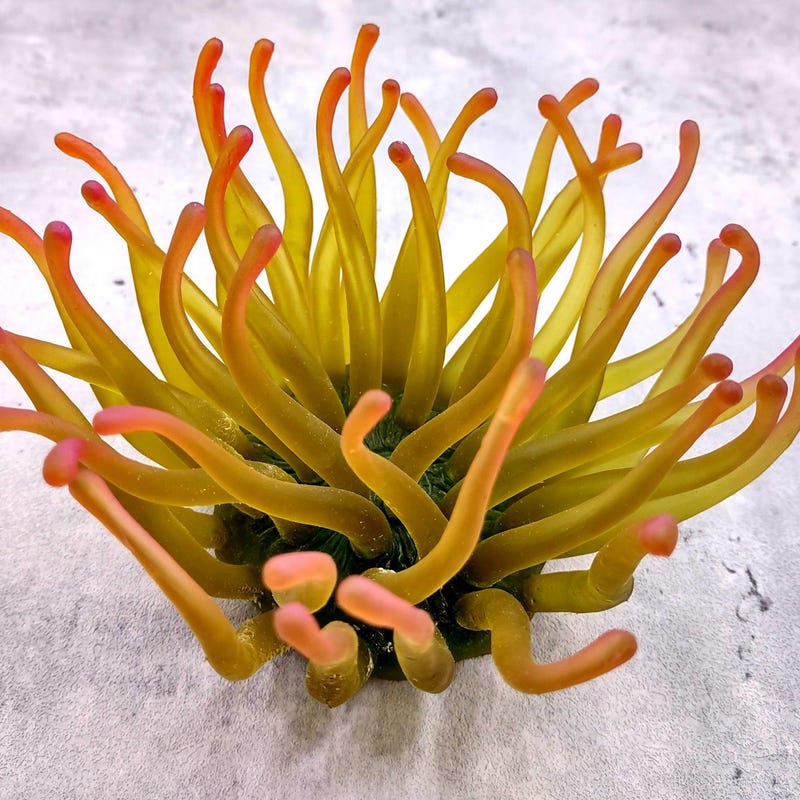 Anemones Fake - Etsy