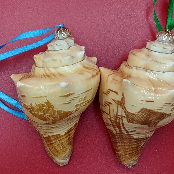 Shell Ornaments - Etsy